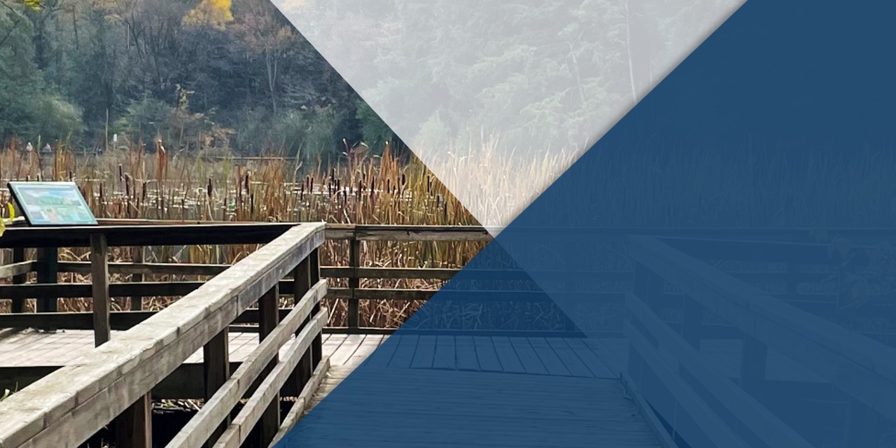 Stop #8 – Huron Natural Area Walking Tour | Our Plan for Huron Natural ...