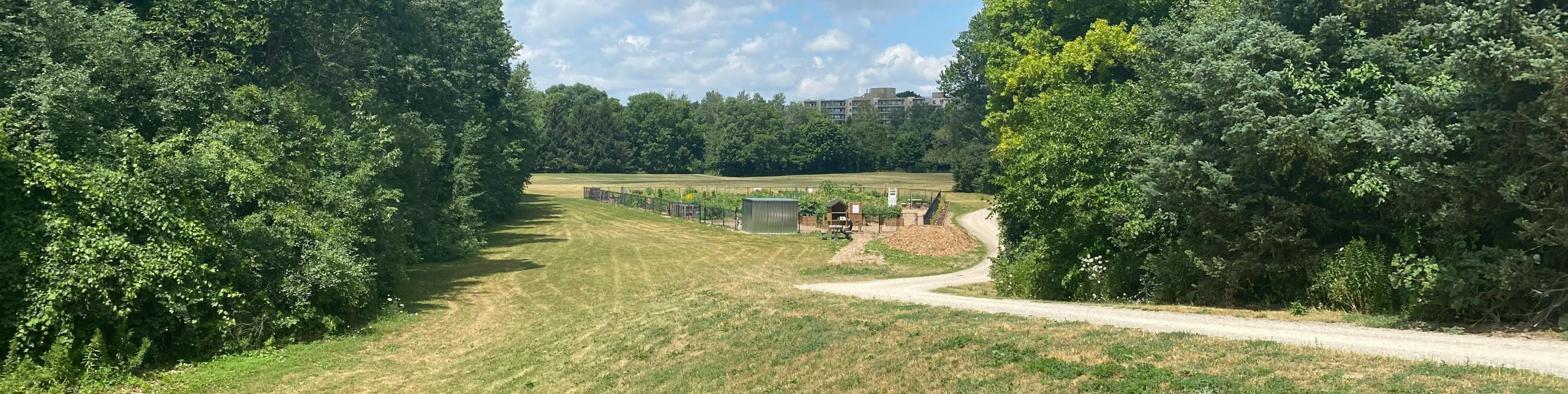 Video presentations now available | Help shape the future of Country ...