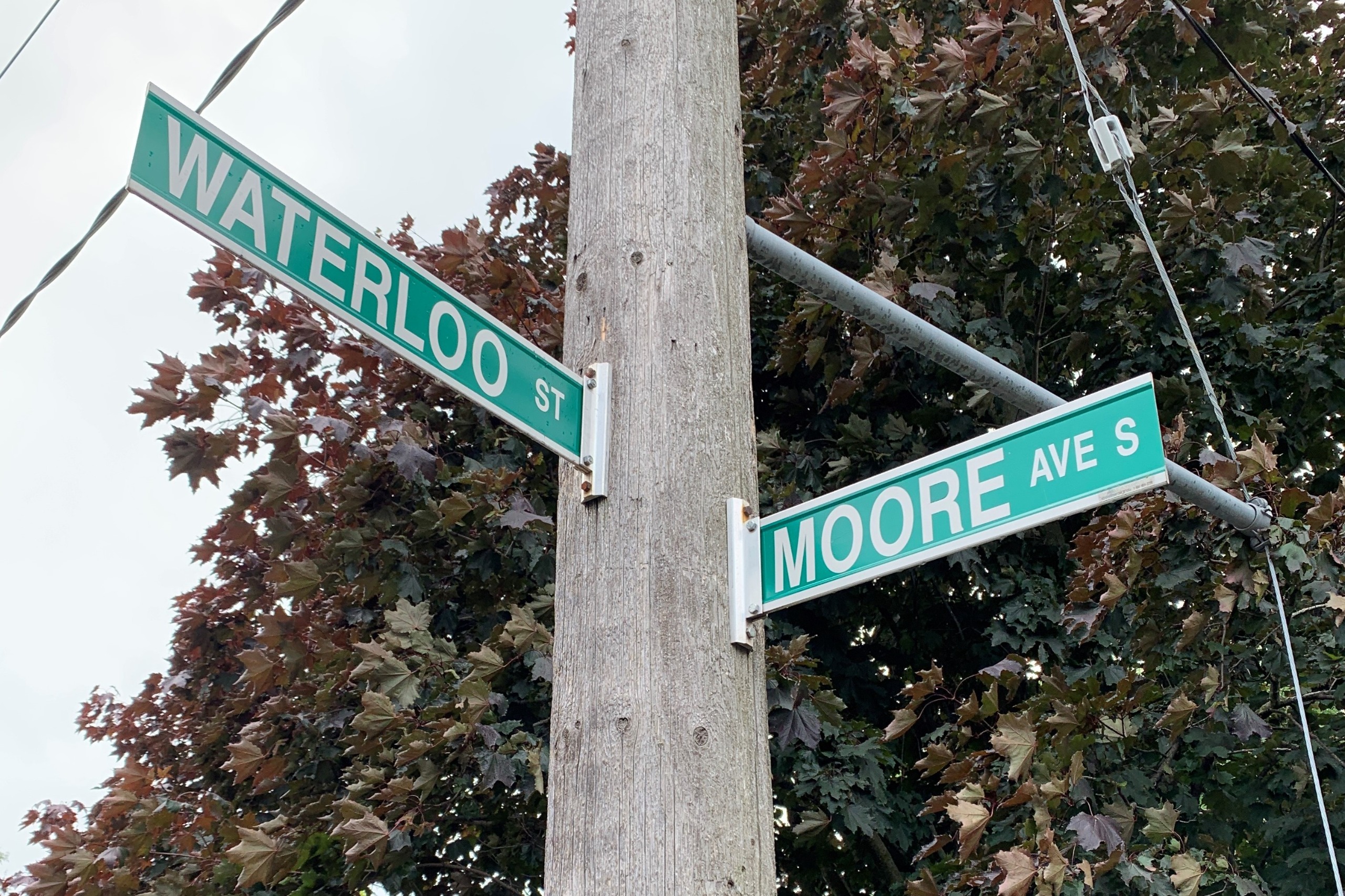 Leaf collection | Waterloo Street reconstruction | EngageWR